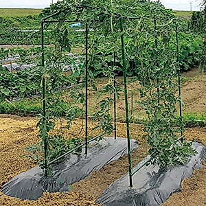 Xiny Tool Garden Stakes, 25 Pack Steel Plant Garden Tomato Stakes with Plastic Coat for Climbing Plants (25 Pack 60 Inch)