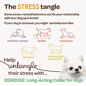 Dog Calming Collar with Pheromones - Zenidog Long-Acting Collar, Dog Calming Pheromone Collar, Long-Acting Pheromones for Dogs, Calming Collar, Dog Calming, Calming Collar for Dogs (Large Dogs)