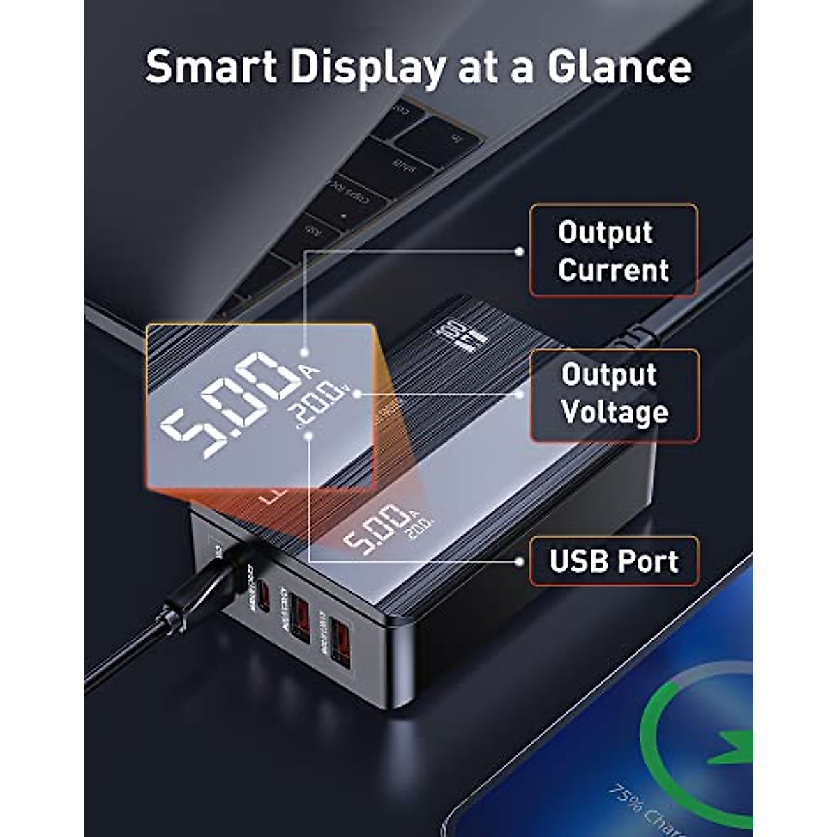 USB C Charger, LDNIO 100W PD Fast GaN Charger with LED Display, 4-Port USB C Charging Station with 2USB-C, 2USB for MacBook Pro/Air, iPad, Laptops, iPhone, Samsung Galaxy, Steam Deck and More