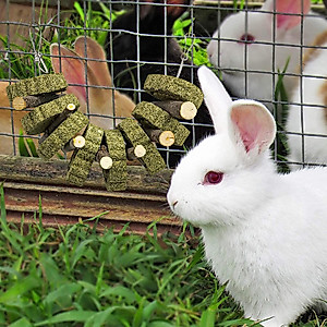 Arespark Pack-2 Rabbit Chew Toys, Organic Bunny Toys Apple Wood Branches/Timothy Hay Straw Cakes, Teeth Grinding Chew Treats for Guinea Pig Hamster Bunny Small Rodent, Juguetes para Conejos