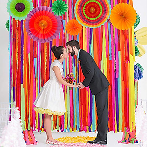 Mexican Fiesta Theme Party Backdrop with Fiesta Paper Fans, Mexican Fiesta Cinco De Mayo Party Decorations Streamer Backdrop for Taco Party Wedding Bridal Baby Shower Birthday Supplies