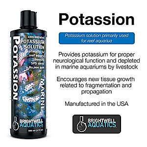 Brightwell Aquatics Potassion - Liquid Potassium Supplement for Marine Reef Fish Aquariums 500-ml