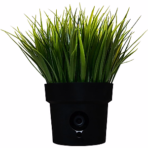 Camasker for Wyze & Roku SE Cam - Cover, Disguise & Camouflage Wyze or Roku SE Camera - Artificial Plant Housing Case for Wyze Cam V3, V2 & Roku SE