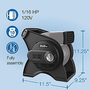 Air King Commercial Grade Pivoting Utility Fan, for Cooling, Ventilating, Exhausting and Drying at Home, Job Site, Work Shop, Construction, 3 Speeds, 11.25", Black, 9550