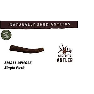 1-Small Whole Elk Antler–Single Pack. Premium Grade A. Antler Chew. L=4-7” Naturally shed, and Made in The USA. NO Odor. Guaranteed Satisfaction. for Dogs 10-25 LBS