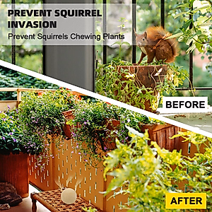 Squirrel Repellent Outdoor,Chipmunk Repellent Outdoor,Mint Squirrel Deterrent Outdoor,Squirrel Repellents for Garden, Get rid of Squirrels, Multi-Use Formula for Gardens, Attics and Around Home 8P
