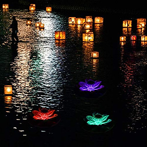 CHICIRIS Floating Pool Lights, Waterproof Solar Pond Pool Lights Multi-Colored LED Night Light, Flower Floating Lamp for Swimming Pool, Beach, Garden(Purple)