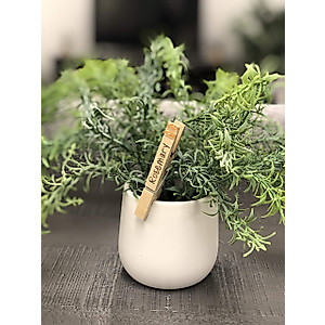 Homz 1220216 Clothes pin, Natural Wood