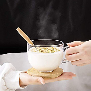 PARACITY Glass Cup 15OZ Clear Coffee Mug with Lids Spoon for Breakfast Tea,Milk,Beverage,Oats,yoghurt
