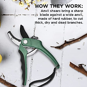 Nevlers 8" Anvil Pruning Shears for Gardening | Garden Clippers with Stainless Steel Blades & 8mm Cutting Capacity | Heavy Duty Gardening Tools | Hand Pruners for Gardening | Green Garden Pruners