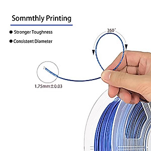 ECHEN PLA Filament 1.75mm, 3D Printer Filament Silk Black Purple Blue Filament, 3D Printing Filament 1kg/2.2lbs