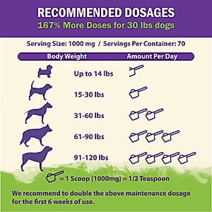 ZENAPET Allergy Immune Support Supplement for Dogs, Superfood 100% Human-Grade with Turkey Tail Mushroom, Prebiotics for Gut Health, Itchy Skin, Seasonal Allergies & Yeast - for Small to Large Breeds