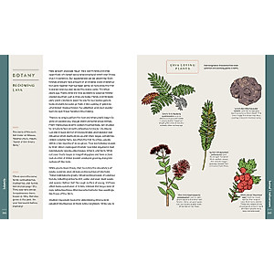 Scenic Science of the National Parks: An Explorer's Guide to Wildlife, Geology, and Botany