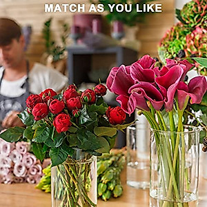 Clear Glass Cylinder Vase,Glass Flower Vase Centerpieces,Hurricane Floating Candle Holder Vase for Home Decoration,Wedding Centerpieces,Party Event,5" Opening,8" Tall,1 Pack