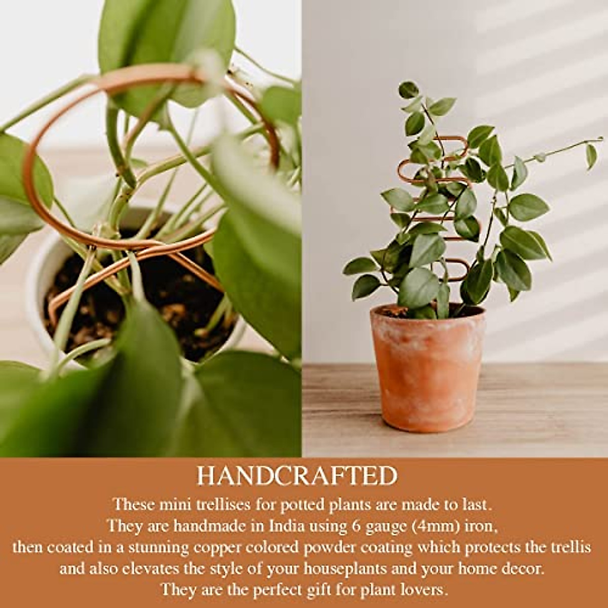 6Pcs Plant Trellis, Gold Trellis for Climbing Plants Indoor, Mini Trellis for Potted Plants Support Stake House Plant Trellis for Garden Potted Plant, Hoya, Pothos, Flower, Monstera