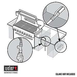 WEBER Summit S-660 Built-In Natural Gas Stainless Steel Grill (7460001)