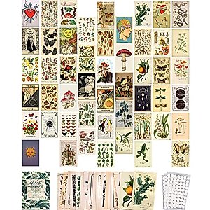 SOONYO Vintage Botanical Illustration Tarot Aesthetic Pictures Wall Collage Kit, Trendy Small Poster for Dorm, Vintage Style Art Print Photo Collection (Multicolor, 50pcs)