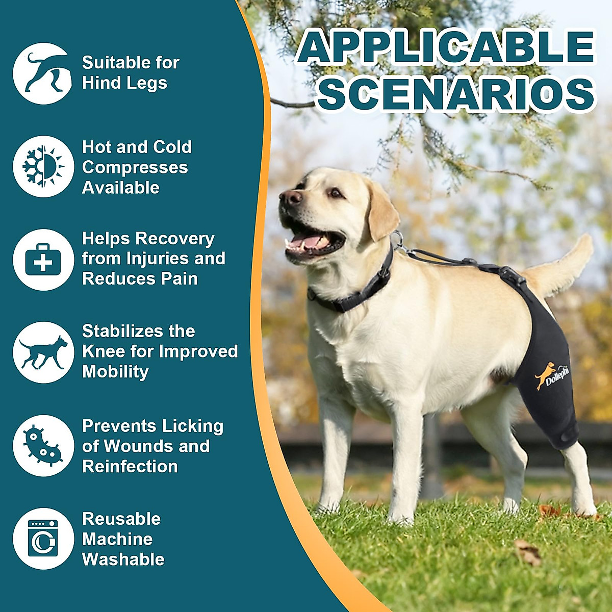 Dollephi Dog Knee Brace for Torn ACL Hind Leg, Hot/Cold Compress for Patella Dislocation or Osteoarthritis, Cruciate Ligament Injuries, for Medium & Large Dogs(Left Leg,L)