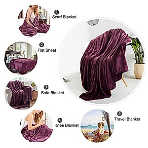 Reafort Ultra Soft Flannel Fleece All Season Light Weight Living Room/Bedroom Warm Throw Blanket (Purple, King 108"X92")