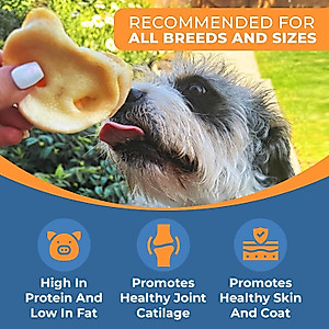 K9warehouse Pig Snout Puffs for Dogs - 100% Natural, Single Ingredient Treats - Grain and Rawhide Free Chews - Rich in Omega 3 - Promotes Healthy Teeth and Gums - High in Protein - Best for All Breeds