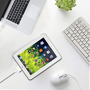 rosyclo 30-Pin to Lightning Adapter, MFi Certified 8-Pin Female to 30 Pin Male Dock Connector iPhone Charging Sync Converter Compatible iPhone 4/4s/iPad/iPod Touch White (No Audio)