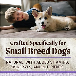 Merrick Lil’ Plates Premium Grain Free Dry Puppy Food for Small Dogs, Real Chicken and Sweet Potato Kibble - 12.0 lb. Bag