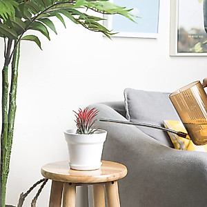 T4U 4 Inch Plant Pots 18-Pack - Small Plastic Planter with Drainage Hole and Saucer, Decorative Nursery Flower Pot Bulk for African Violet, Snake Plant, Succulent and All House Plants Indoor