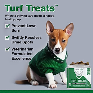 Pawlife Green Grass Dog Chews – 120 Turf Treats for Dog Spot Grass Repair, Veterinarian Formulated Dog Urine Neutralizer for Lawn, Lawn Protection Treats, Dog Pee Grass Neutralizer (Chicken Flavored)