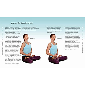 The Chakra Bible: The Definitive Guide to Working with Chakras (Volume 11) (Mind Body Spirit Bibles)