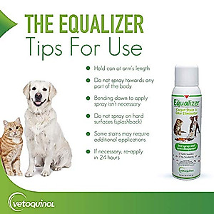 Vetoquinol Equalizer Pet Carpet Cleaner, Stain Remover & Odor Eliminator, Carpet Spot Cleaner, 20oz