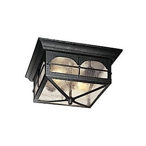 Home Decorators Collection Flushmount 2-Light Outdoor Aged Iron Lantern