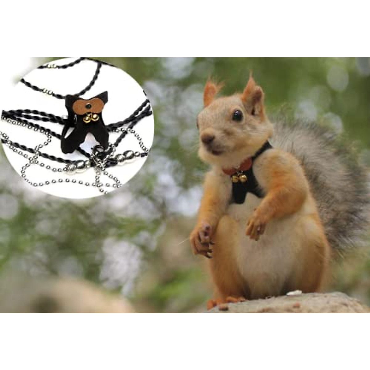 Squirrel Traction Rope Strap Anti-Biting Chain Rope, Adjustable Vest, Small Animal Walking Harness with Lead Leash with Free Collar for Hamster Gerbil Rat Mouse Ferret Chinchilla (Black with Blue)