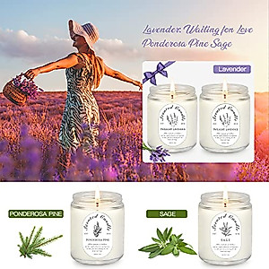4 Pack Candles for Home Scented, Lavender Candles, 4x6.3 oz 4x50 Hour Long Lasting Aromatherapy Jar Candles Natural Soy Wax Relaxing Candle, Candles Gifts for Women (Lavender *2 &Sage &Jackson)