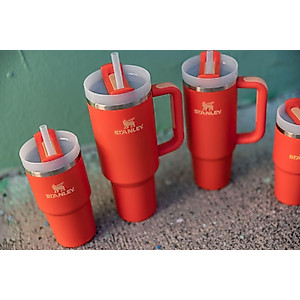 Stanley Quencher H2.0 FlowState Stainless Steel Vacuum Insulated Tumbler with Lid and Straw for Water, Iced Tea or Coffee, Smoothie and More, Tigerlily, 30 oz