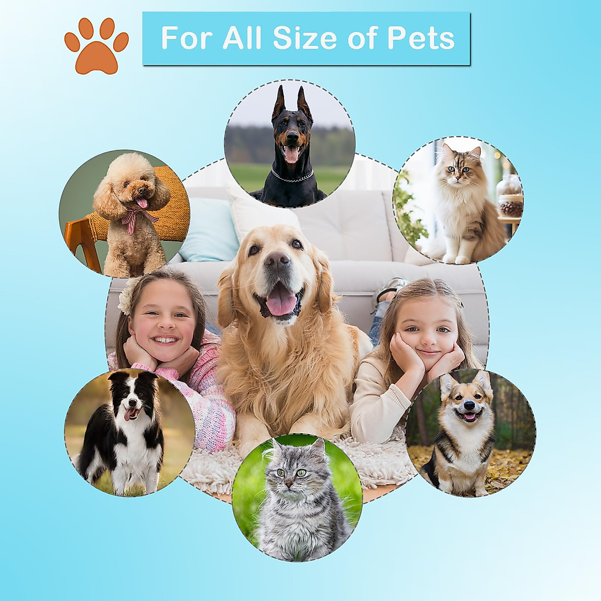 Souroyea Dog Tooth Brushing Kit - Equipped with a Pet Manual Teeth Cleaner, Cat Toothbrush Silicone Finger Wipes for Small & Large Dogs Supplies, Pet Teeth Cleaning Tools & Dental Care Accessories