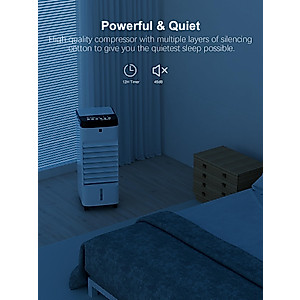 Landeagle Portable Air Conditioners,3-IN-1 Swamp Cooler with Remote,22"Windowless Portable AC Unit with 3 Modes&Speeds,12H Timer,6 Ice Packs,Small Evaporative Air Cooler for Room Office Bedroom Indoor