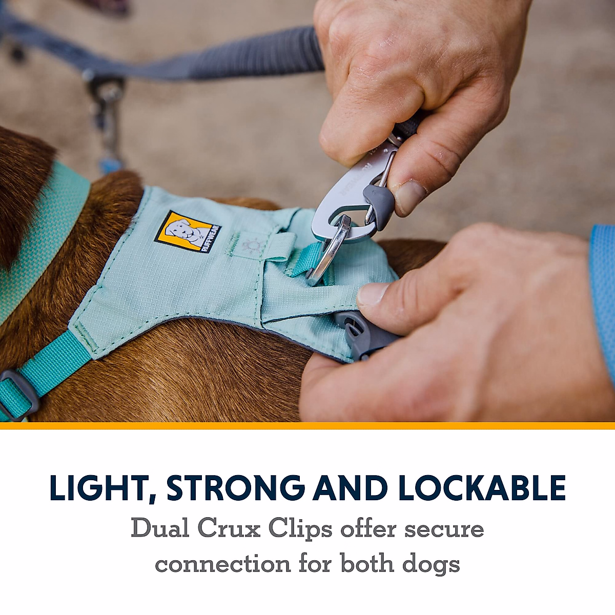 Ruffwear, Double Track Coupler Leash Extension for Walking 2 Dogs, Basalt Gray