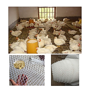 Chicken Wire Mesh Plastic Fence Net Breeding Netting Child Safety Net Lawn Protection Nets Non-slip Net Ventilation Net Flowerpot Mat Net White Mesh 0.8mm/1.2mm ( Color : Mesh1.2mm , Size : 110m )