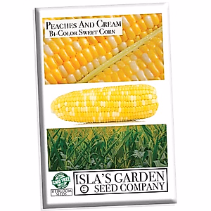 "Peaches and Cream" Bi-Color Sweet Corn Seeds for Planting, 25+ Seeds Per Packet, (Isla's Garden Seeds), Non GMO & Heirloom Seeds, Botanical Name: Zea Mays Great Home Garden Gift