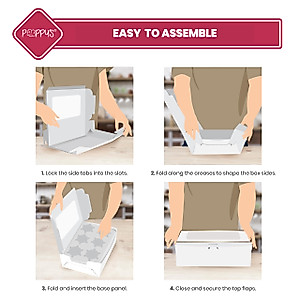 Gold-Trimmed Cupcake Boxes - 12 Count Cupcake Containers with Removable Inserts, Transparent Window Cupcake Holder (5 Pack)