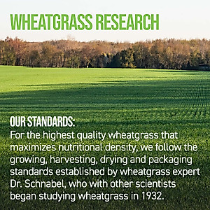 On Target Living Wheatgrass Tablets- 500 Tablets | USDA Organic |