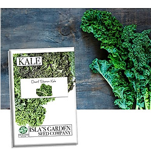 Dwarf Siberian Kale Seeds for Planting, 500+ Heirloom Seeds Per Packet, (Isla's Garden Seeds), Non GMO Seeds, Botanical Name: Brassica oleracea, Great Home Garden Gift