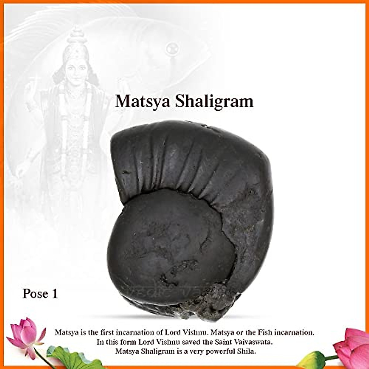 Vedic Vaani Lord Vishnu Avatar Matsya Shaligram Shila for Puja (Pack of 4)