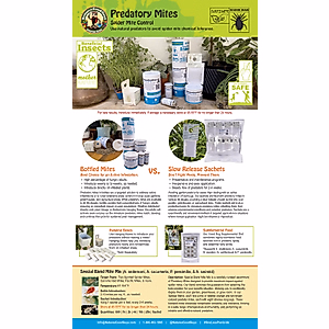 NaturesGoodGuys - Amblyseius swirskii (25 Sachets with 250 Mites)