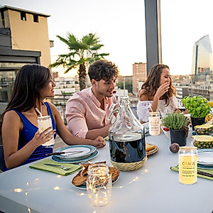 6 Pieces Chaos Coordinator Gifts For Women- 16oz Chaos Coordinator Glass Cup With Lid Straw Drinking Glasses Tumbler Gifts Thank You Gift for manager Coworker, Teacher, Boss lady,Best Friend