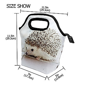 senya Lunch Bag Hedgehog Printed Neoprene Tote Reusable Insulated Waterproof School Picnic Carrying Gourmet Lunchbox Container Organizer For Men, Women, Adults, Kids, Girls, Boys