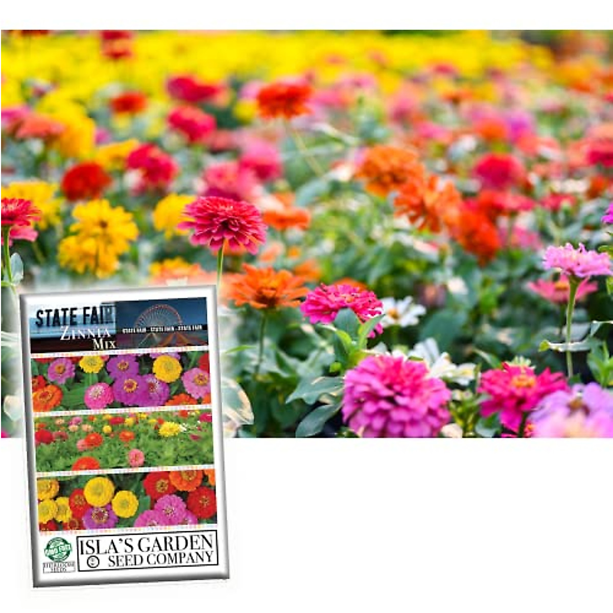 "State Fair Mix" Zinnia Flower Seeds for Planting, 100+ Seeds Per Packet, (Isla's Garden Seeds), Non GMO & Heirloom Seeds, Scientific Name: Zinnia elegans, Great Home Garden Gift