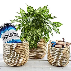 Woven Storage Bangladesh Medium Handwoven Kaisa Basket