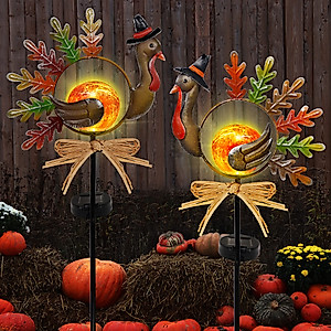 Juegoal 41 Inch Solar Lighted Turkey Stakes Thanksgiving Yard Decorations, Metal Turkeys with Glass Ball LED Light Garden Stakes, Outdoor Fall Solar Pathway Lights for Garden Lawn Yard, Set of 2