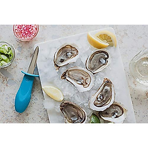 Trudeau Oyster Knife, One Size, Tropical